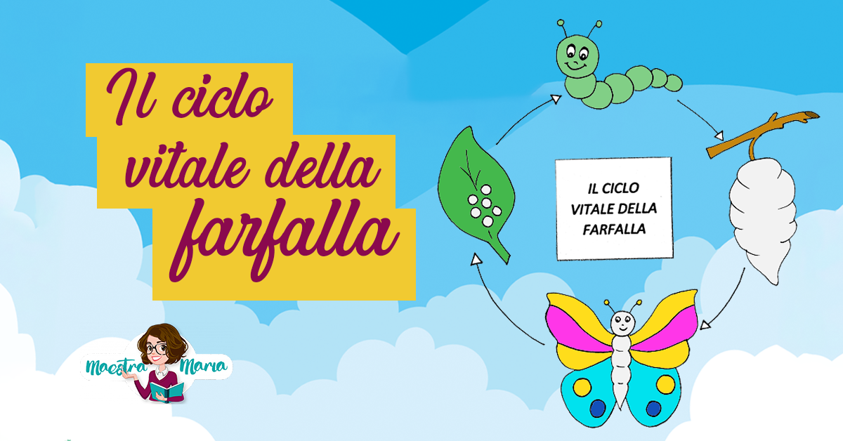 Il ciclo vitale della farfalla - Maestra Maria